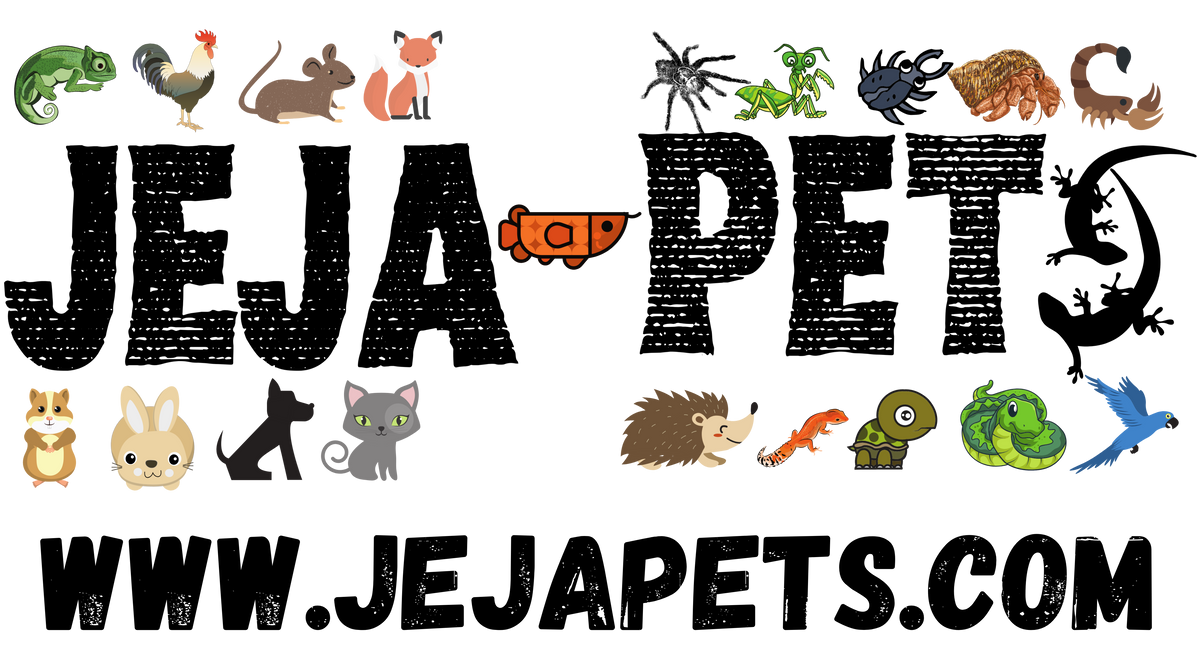 Jeja Pets